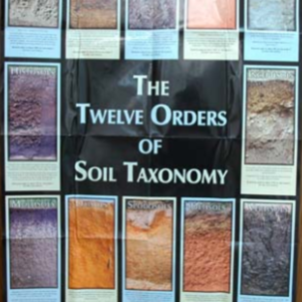 The Twelve Orders Of Soil Taxonomy Nrcs Soil Classifi - vrogue.co The Twelve Orders Of Soil Taxonomy Nrcs Soil Classifi - vrogue.co